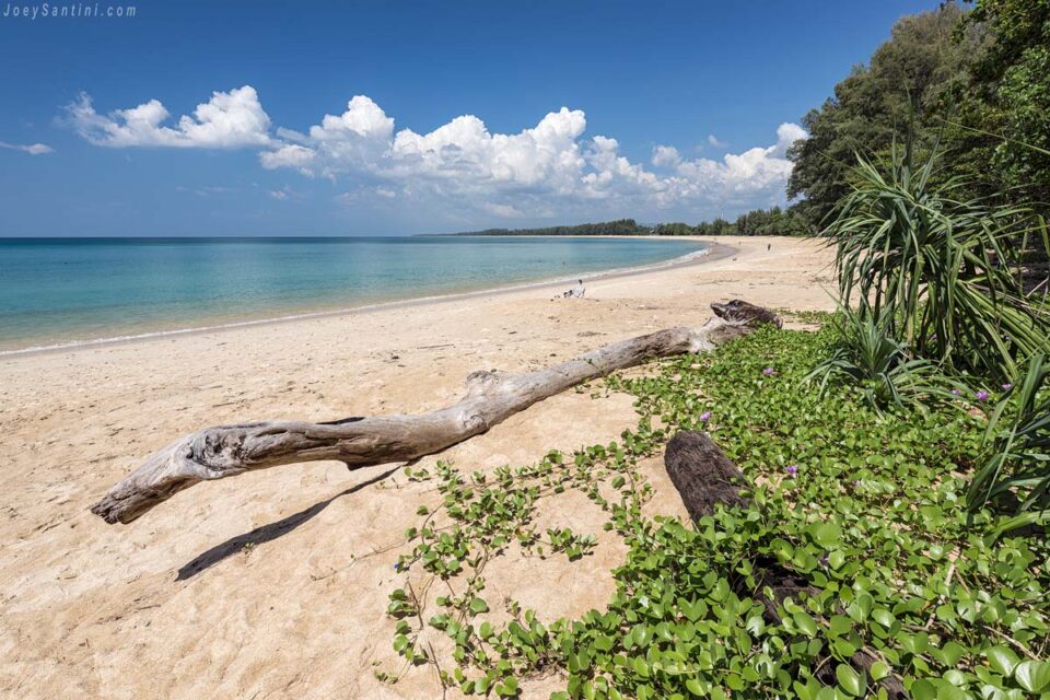 Nai Yang Beach ⛱️ in Phuket - Joey Santini Photography